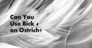 Can You Use Bick 4 on Ostrich? Top Tips You Need To Know