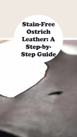How to Remove Stain from Ostrich Leather: 9 Expert Tips You Need To Know